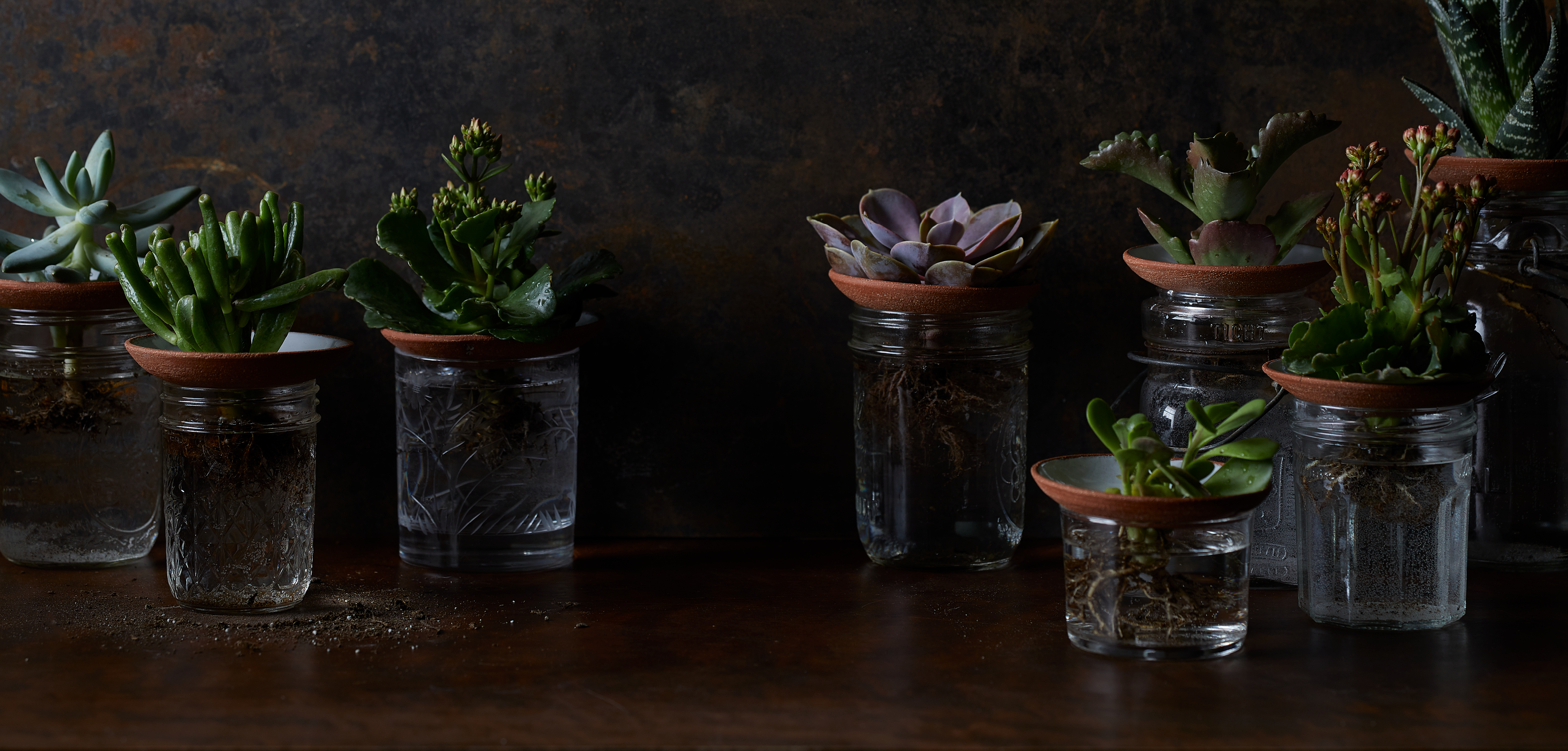 Plant Plate Category Page • The Farmhouse Project