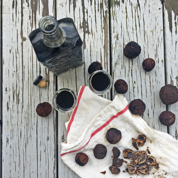 Walnut Liqueur • The Farmhouse Project