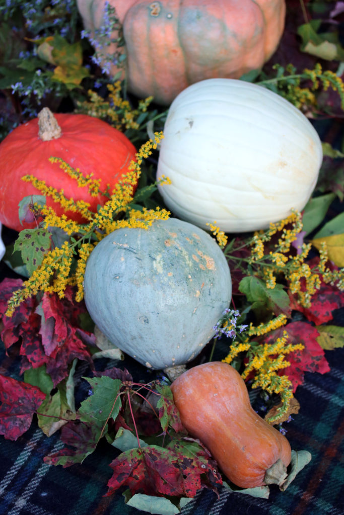 Fall at the Farmhouse • The Farmhouse Project