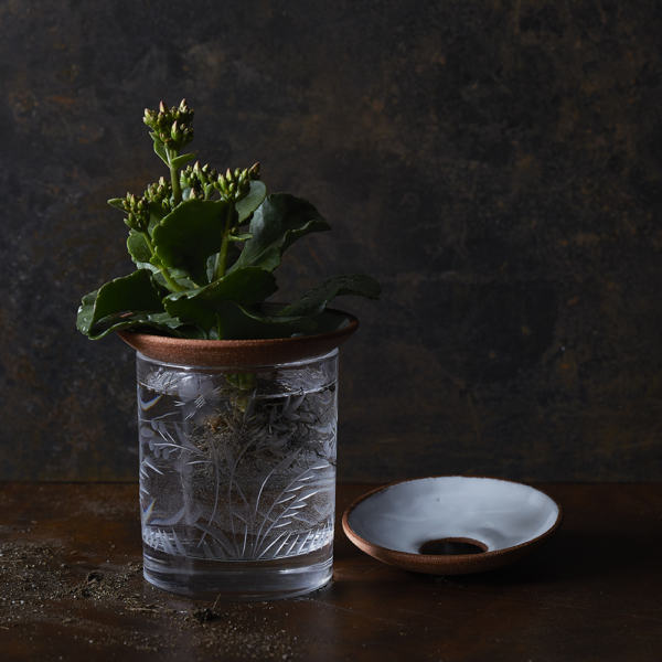 Plant Plate • The Farmhouse Project