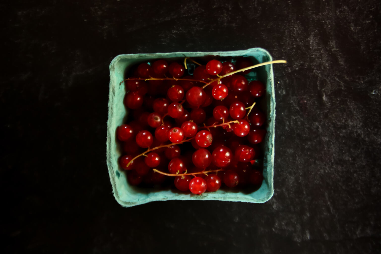 Red Currant Fruit Tart • The Farmhouse Project